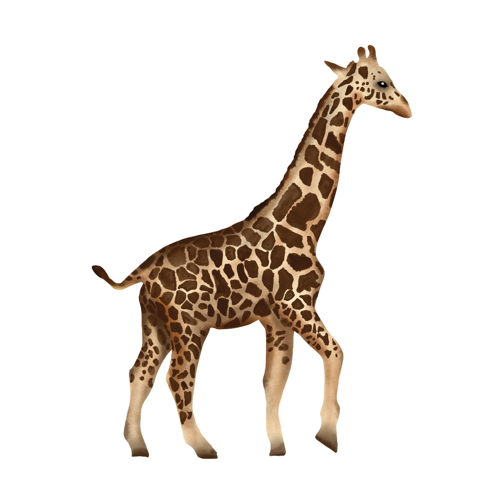Muursticker giraffe babykamer - Muurstickerstunter - Voordelig ...